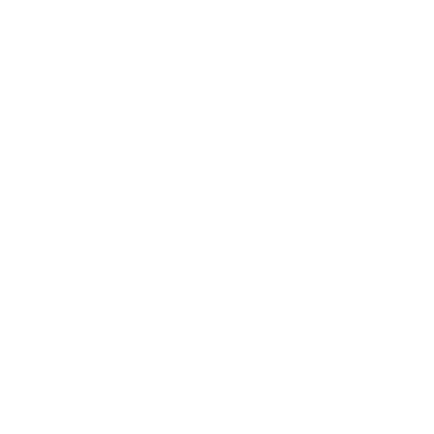 B13 - CERS Export Declaration | W2C Expédition